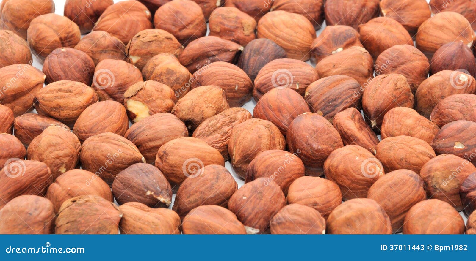 Handful of Brown Clean Cores of Hazelnut Stock Image - Image of leaf ...
