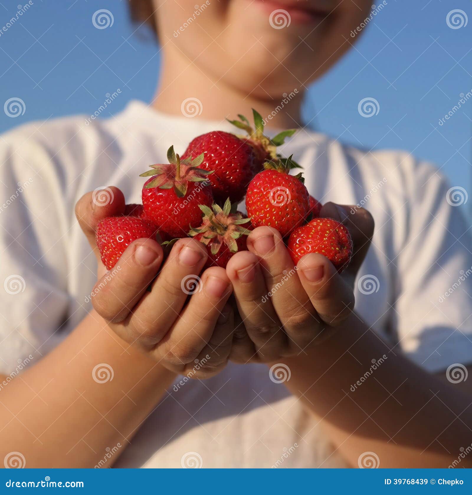 A Handful of Cubes in the Hands Stock Image - Image of full, nature ...