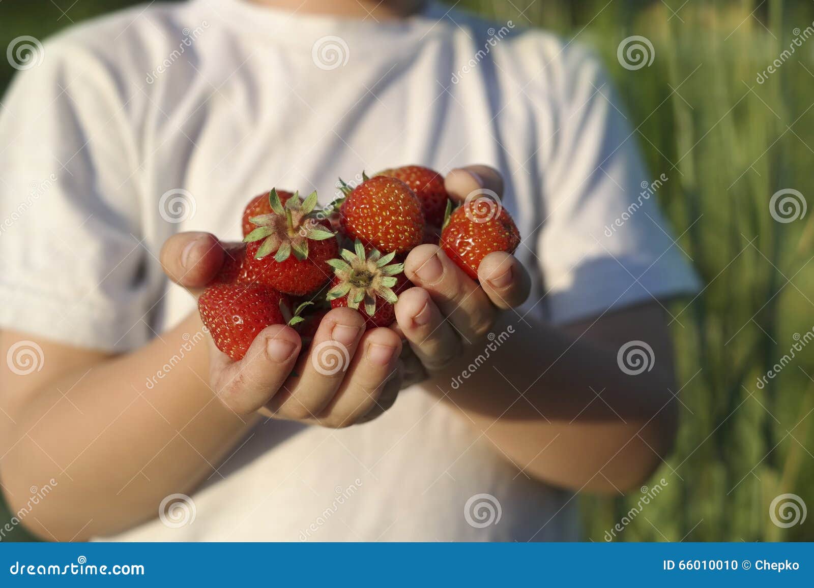 A Handful of Cubes in the Hands of the Boy Stock Photo - Image of ...
