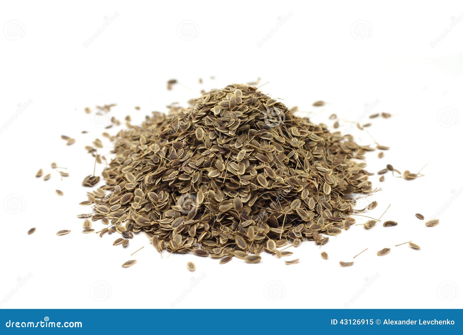 A Handful of Dried Fennel Seeds Stock Image - Image of genofont ...