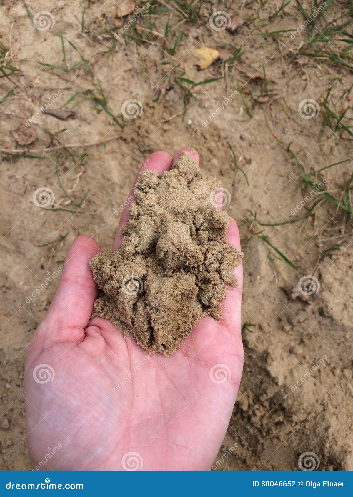 A handful of earth stock photo. Image of sand, handful - 80046652
