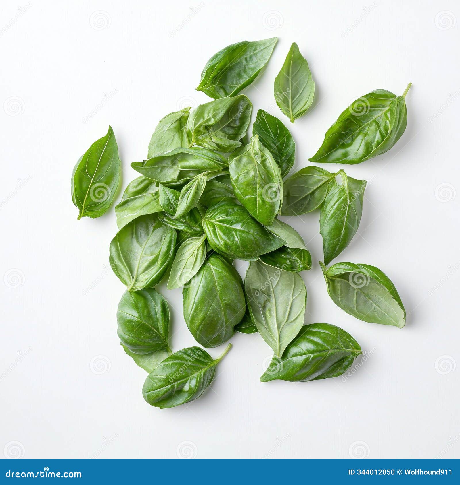 A Handful of Fresh Basil Leaves, Isolated on a White Background, Stock ...