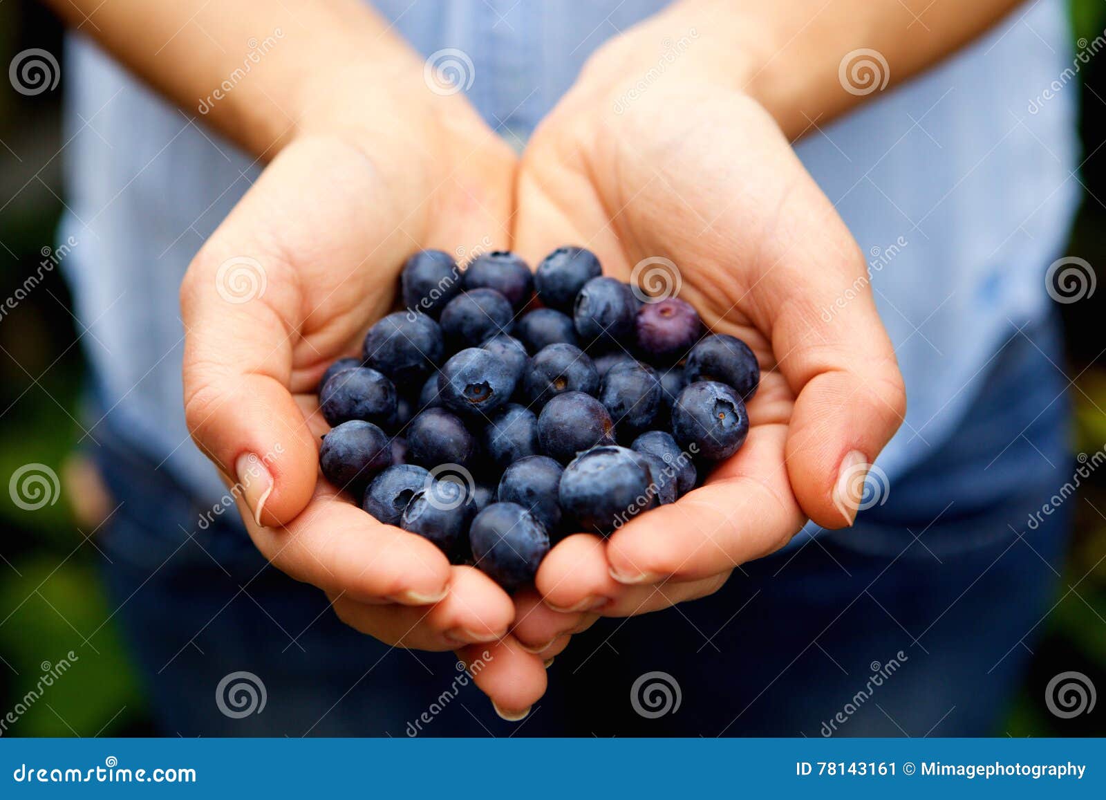 Handful of Fresh Blueberries Stock Image - Image of female, fruit: 78143161