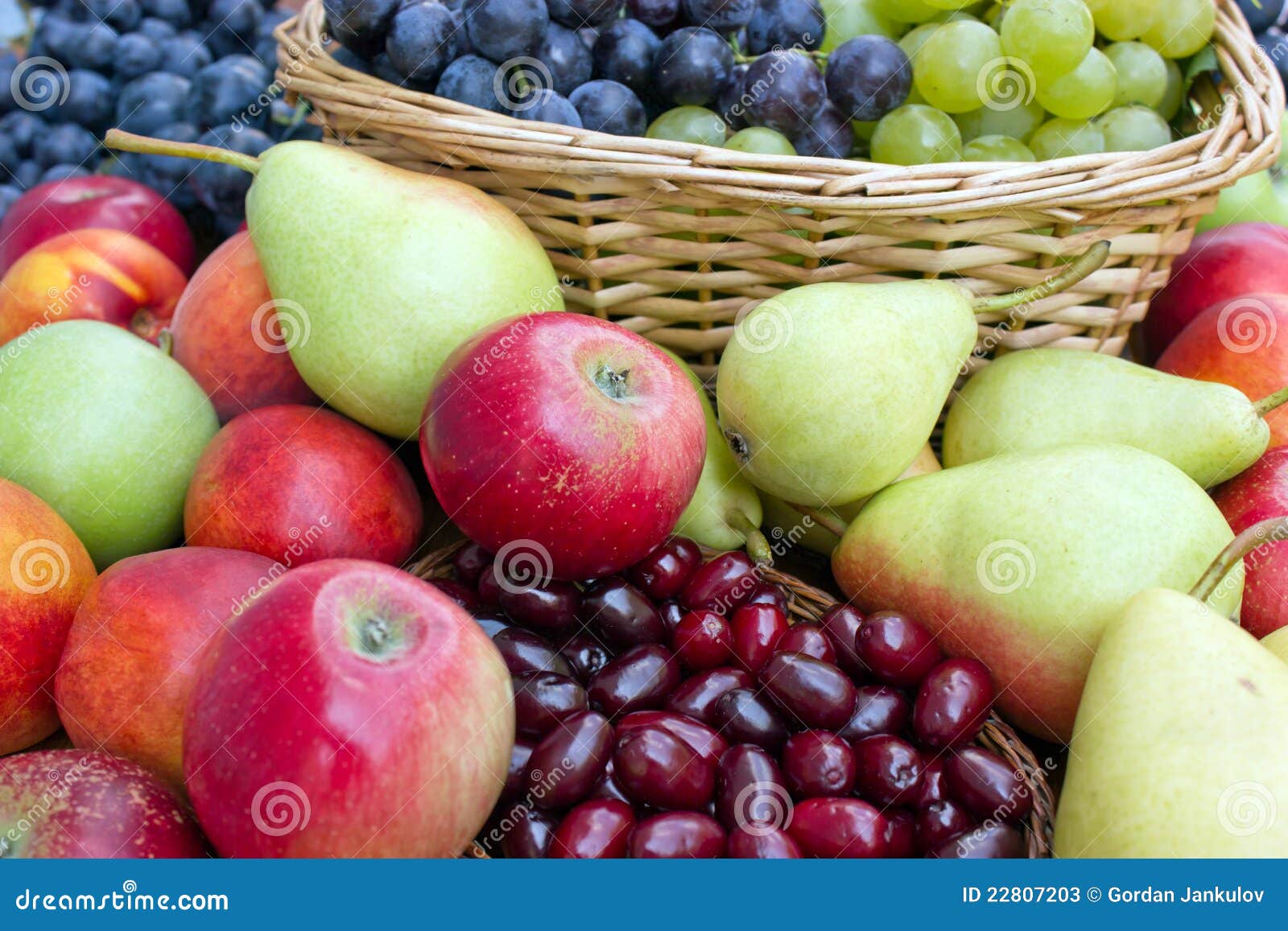 Handful of fresh fruits stock image. Image of bunch, cornelian - 22807203 Handful of fresh fruits stock image. Image of bunch, cornelian - 22807203