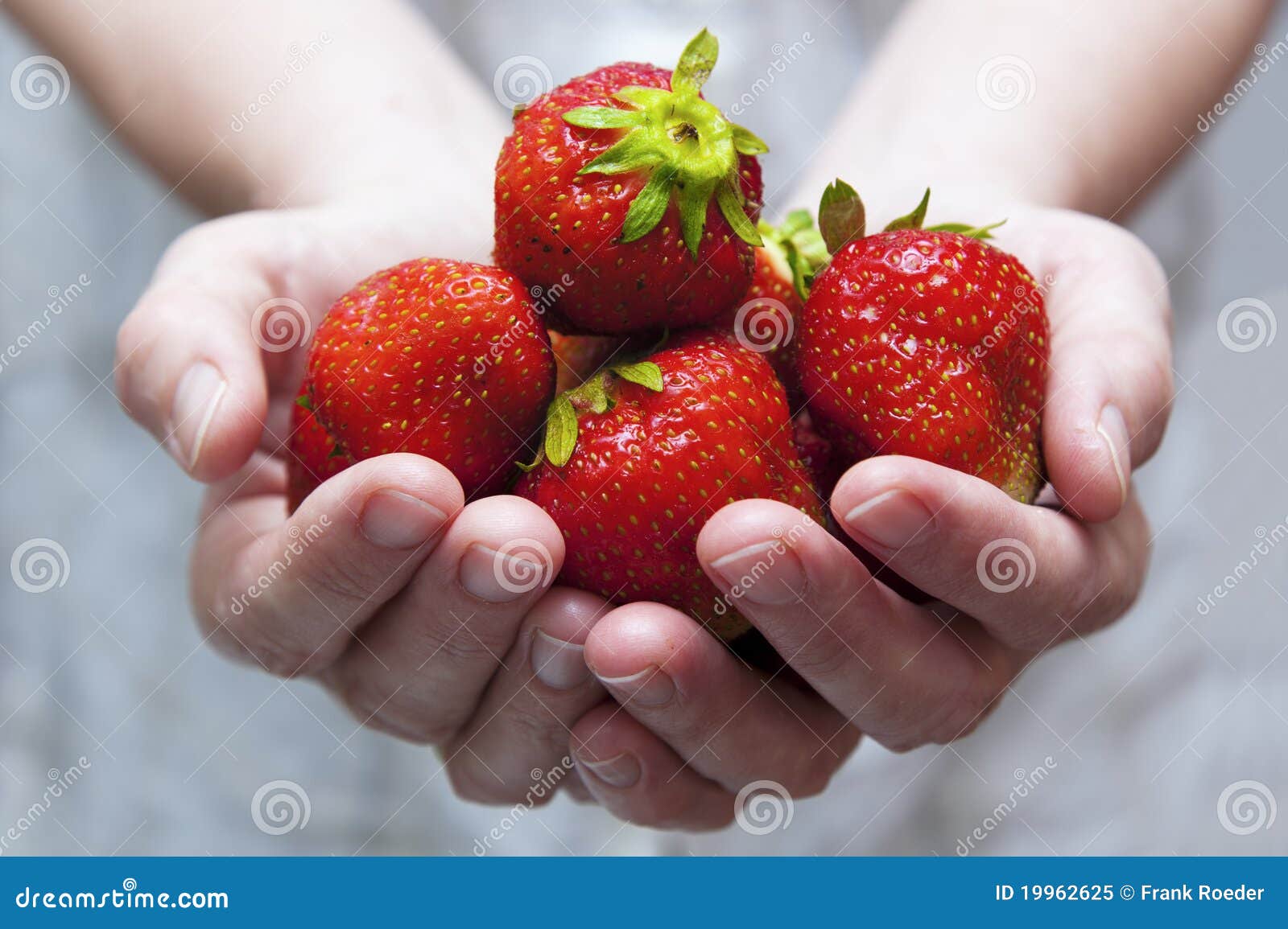 A Handful of Fresh Strawberries Stock Image - Image of indigenous ... A Handful of Fresh Strawberries Stock Image - Image of indigenous ...