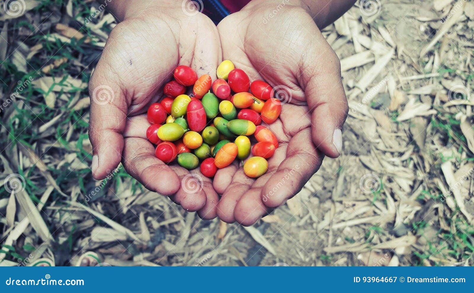 Inspiring Colourful Selection Stock Photos - Free & Royalty-Free Stock ...
