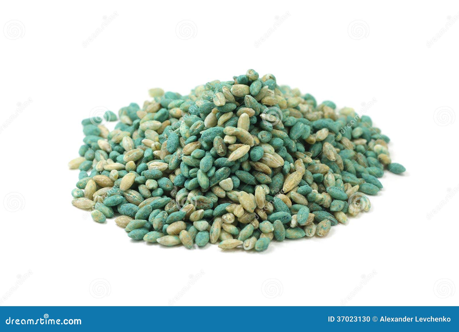 Handful of Grain Poisoning for Rodents Stock Photo - Image of poison ...
