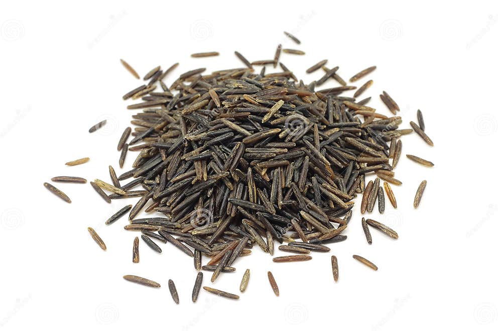 A Handful of Grain Wild Rice Stock Image - Image of water, plant: 64538383