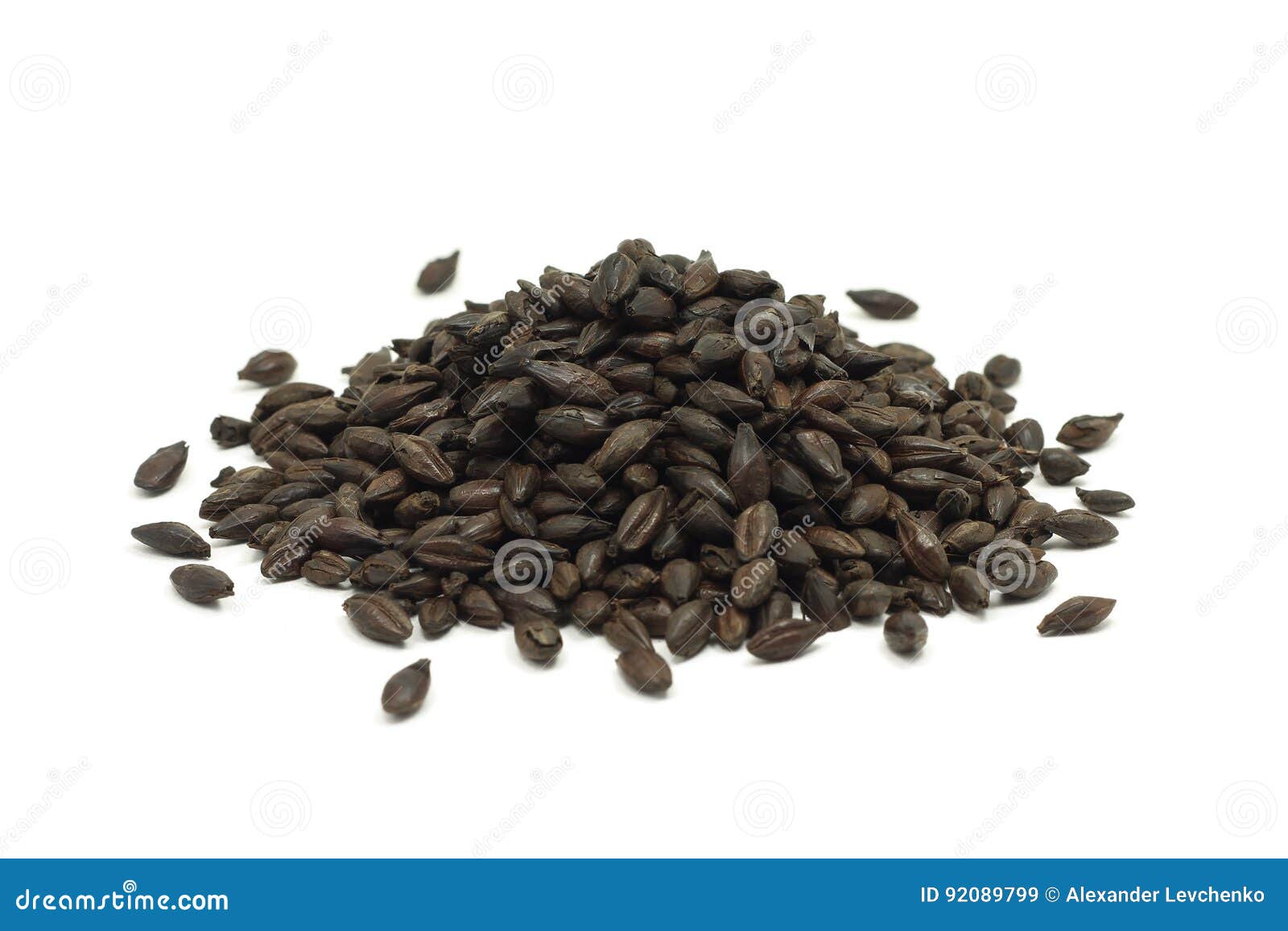 Handful of Grains of Burnt Barley Stock Image - Image of starch ...