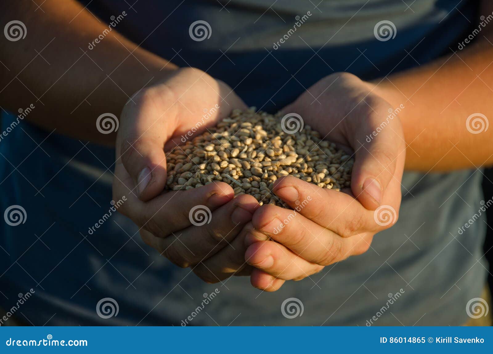 A Handful Of Grains Of Sand Stock Photography | CartoonDealer.com #74081840