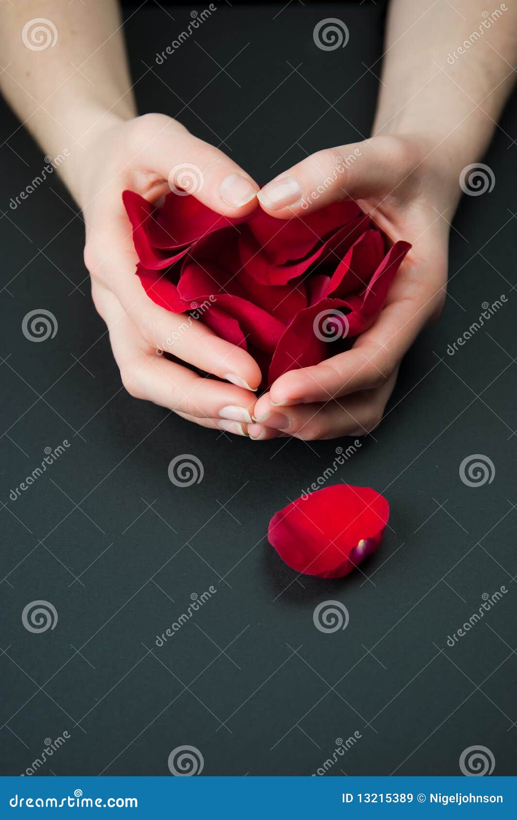 Handful of love stock image. Image of romance, romantic - 13215389