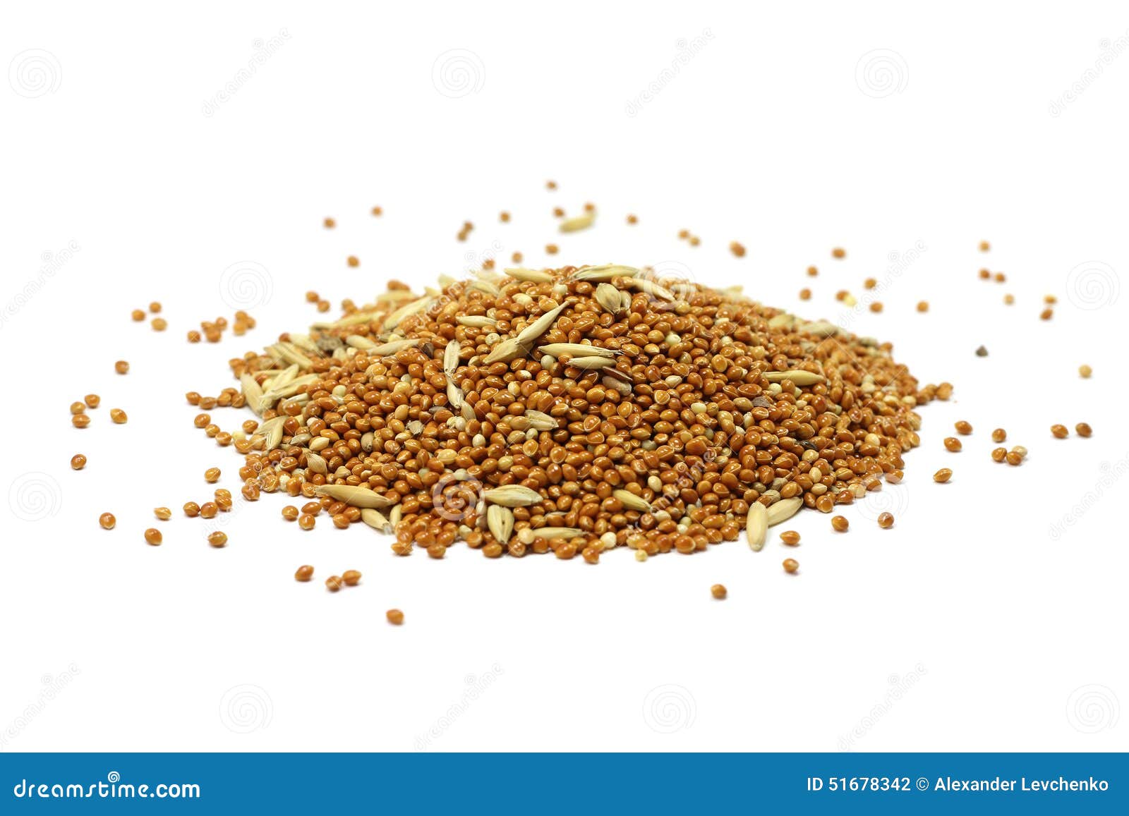 A Handful of the Mixture of Grains Stock Photo - Image of seed, bodies ...
