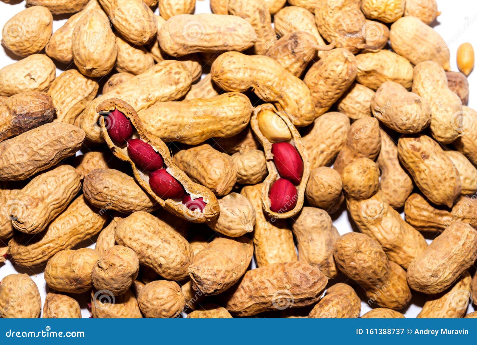 Peanut stock image. Image of natural, roasted, nutrition - 161388737