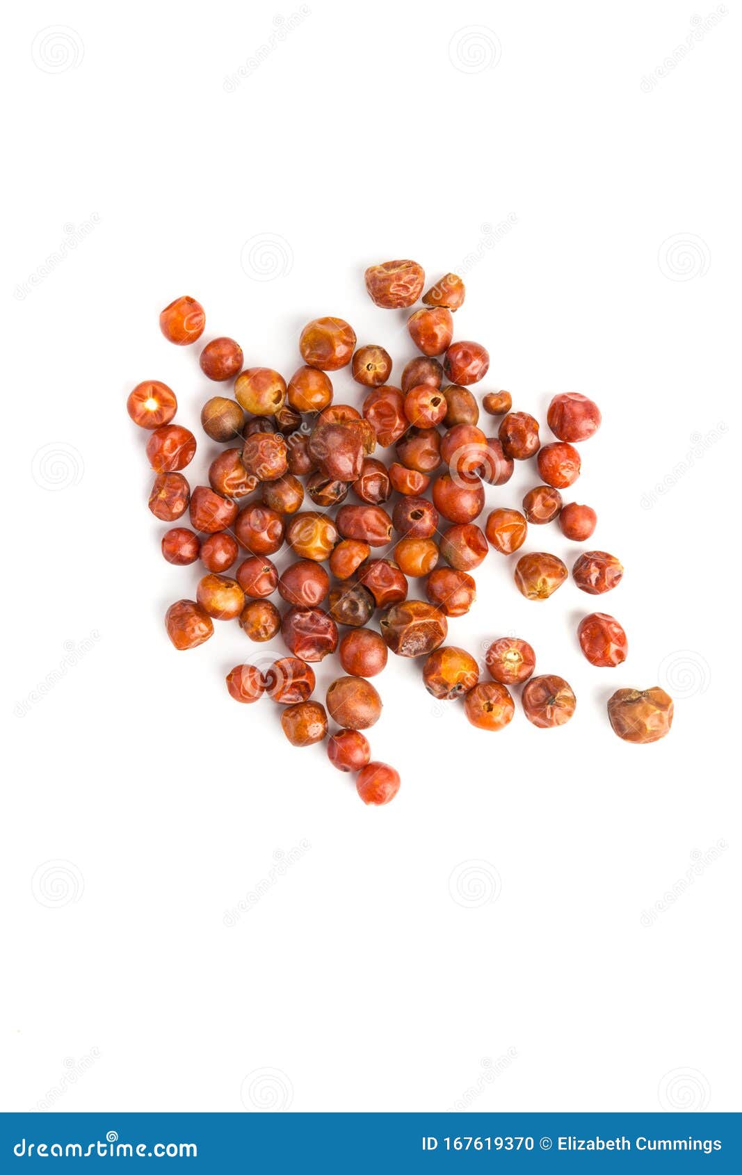 Handful of Red Spicy Tiny Round Chile Tepin Peppers Stock Photo - Image ...