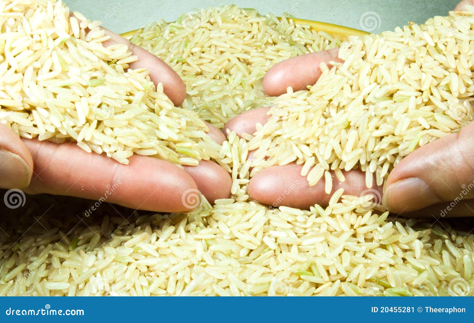 Handful of rice stock image. Image of pile, hunger, grain - 20455281