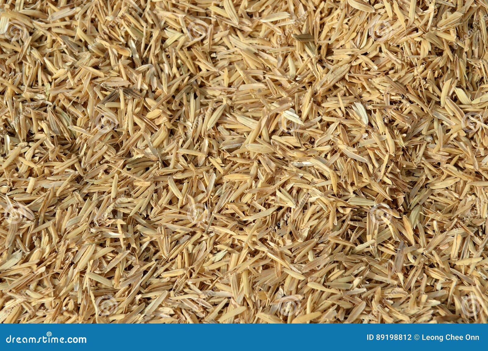 A Handful of Rice Grains with Bran Shell Stock Photo - Image of ...