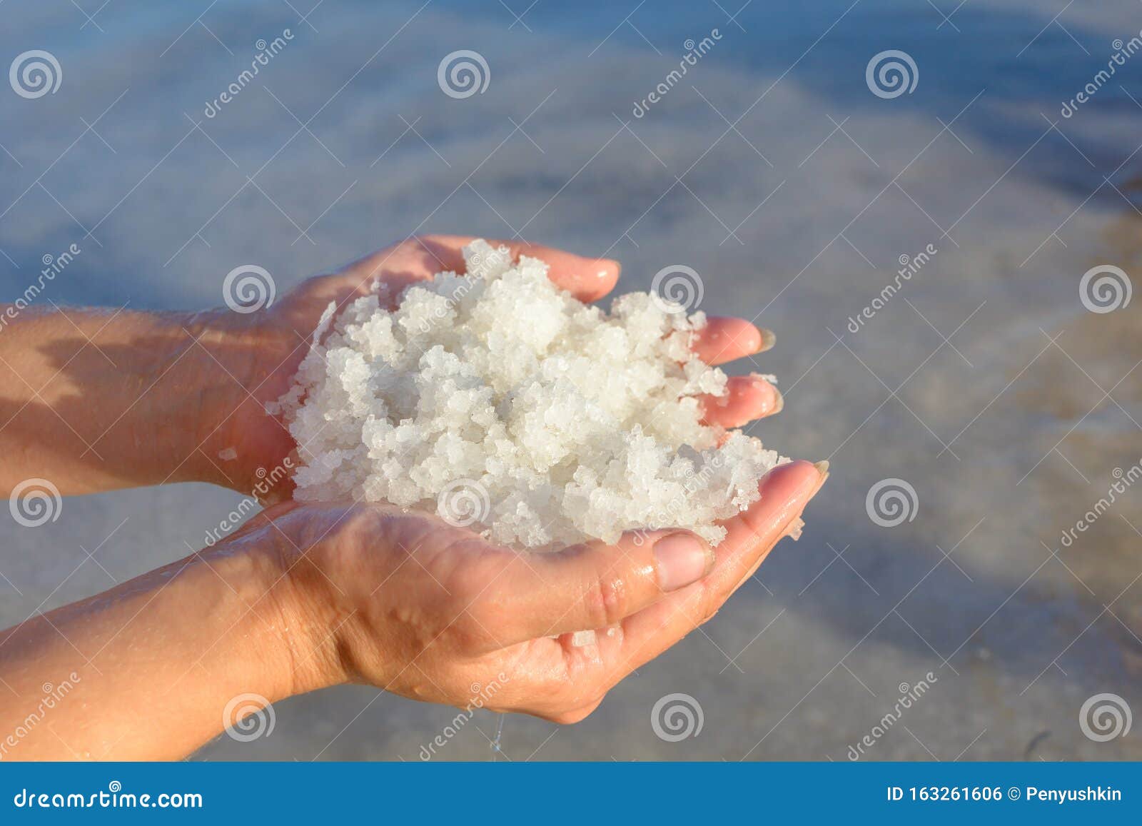 A Handful of Salt from a Salt Lake. Stock Photo - Image of water ...