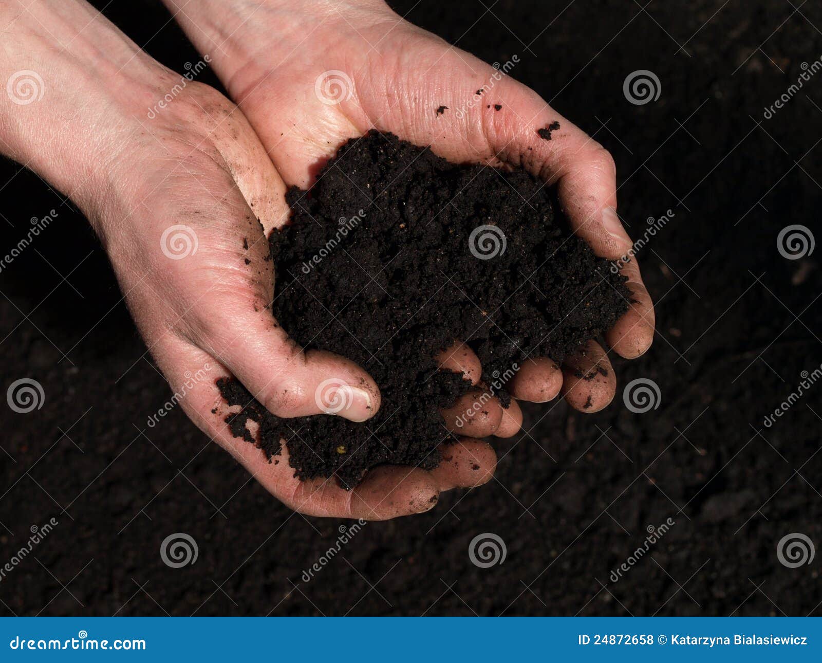 Handful of soil stock photo. Image of garden, earth, natural - 24872658