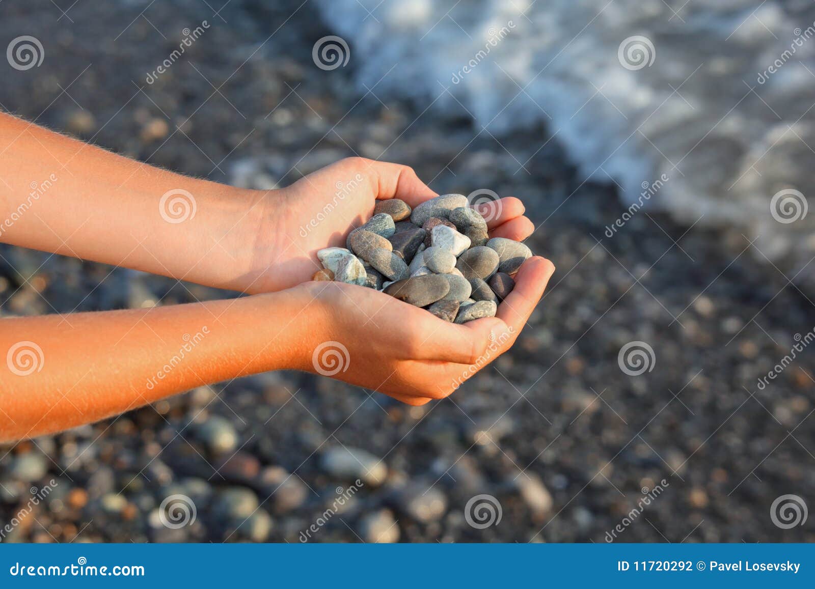 Handful of stones in hands stock photo. Image of bowlder - 11720292