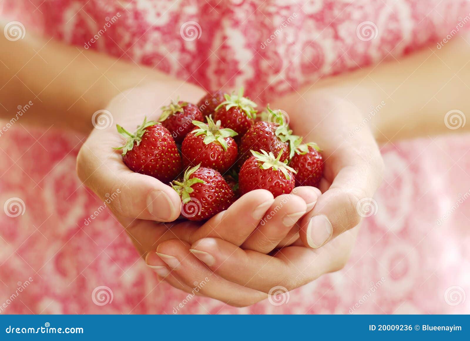 Handful of Strawberries stock photo. Image of food, body - 20009236
