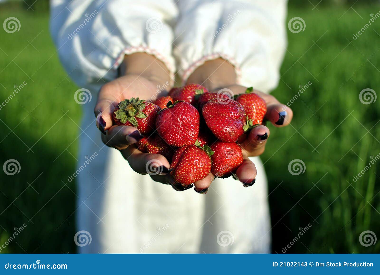 Handful of Strawberries in Hands Stock Image - Image of berry, close ...