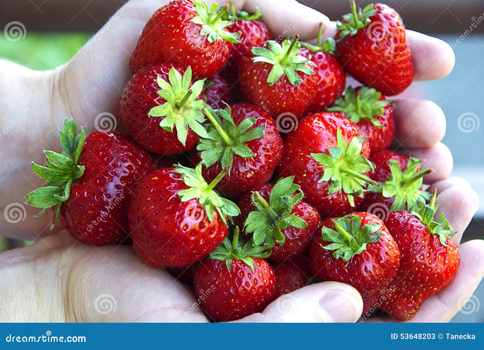 Handful of Strawberries, Horizontal Stock Image - Image of fruit ...