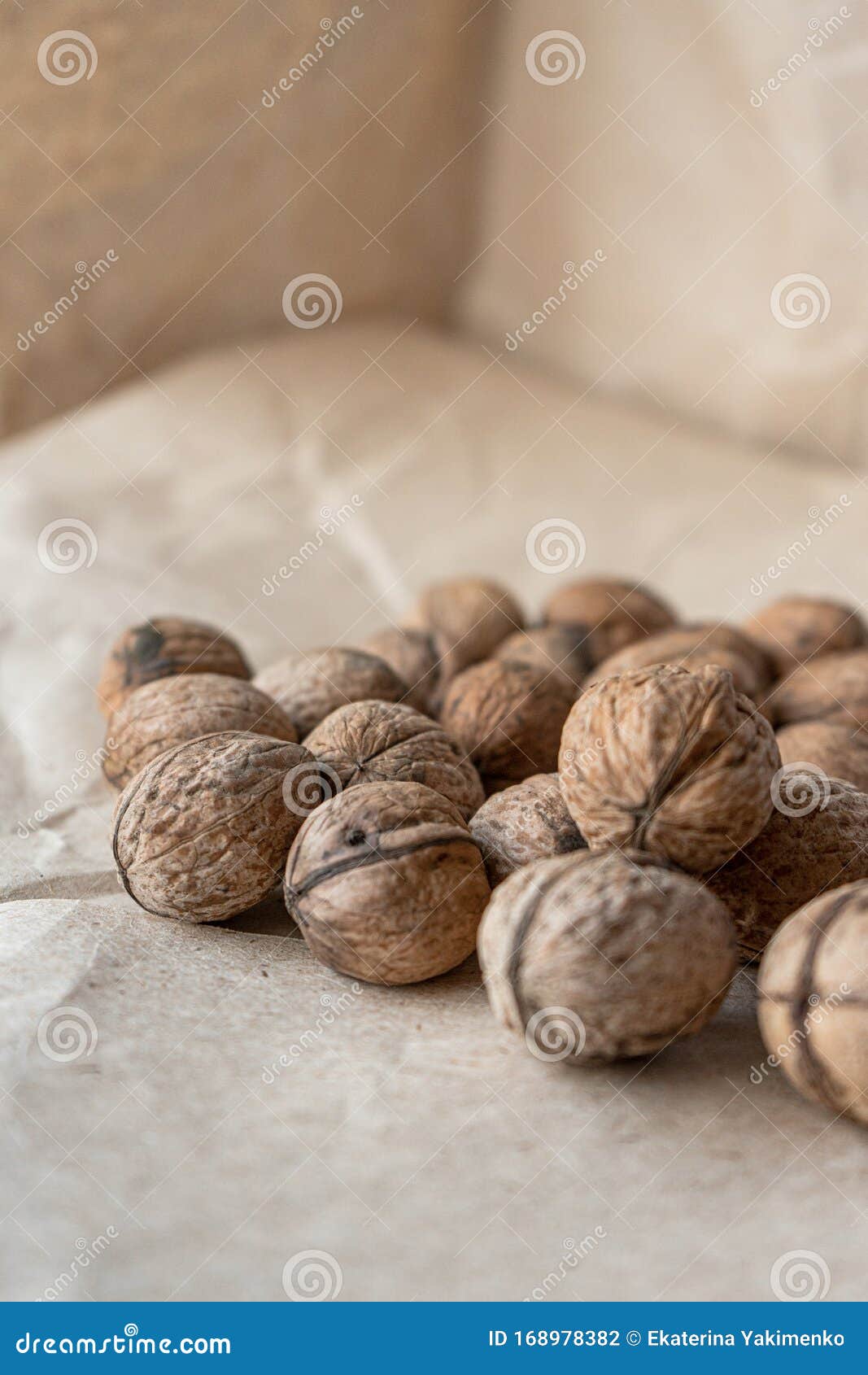 Vertical Handful of Walnuts in the Shell on an Old Mint Kraft Paper, a ...