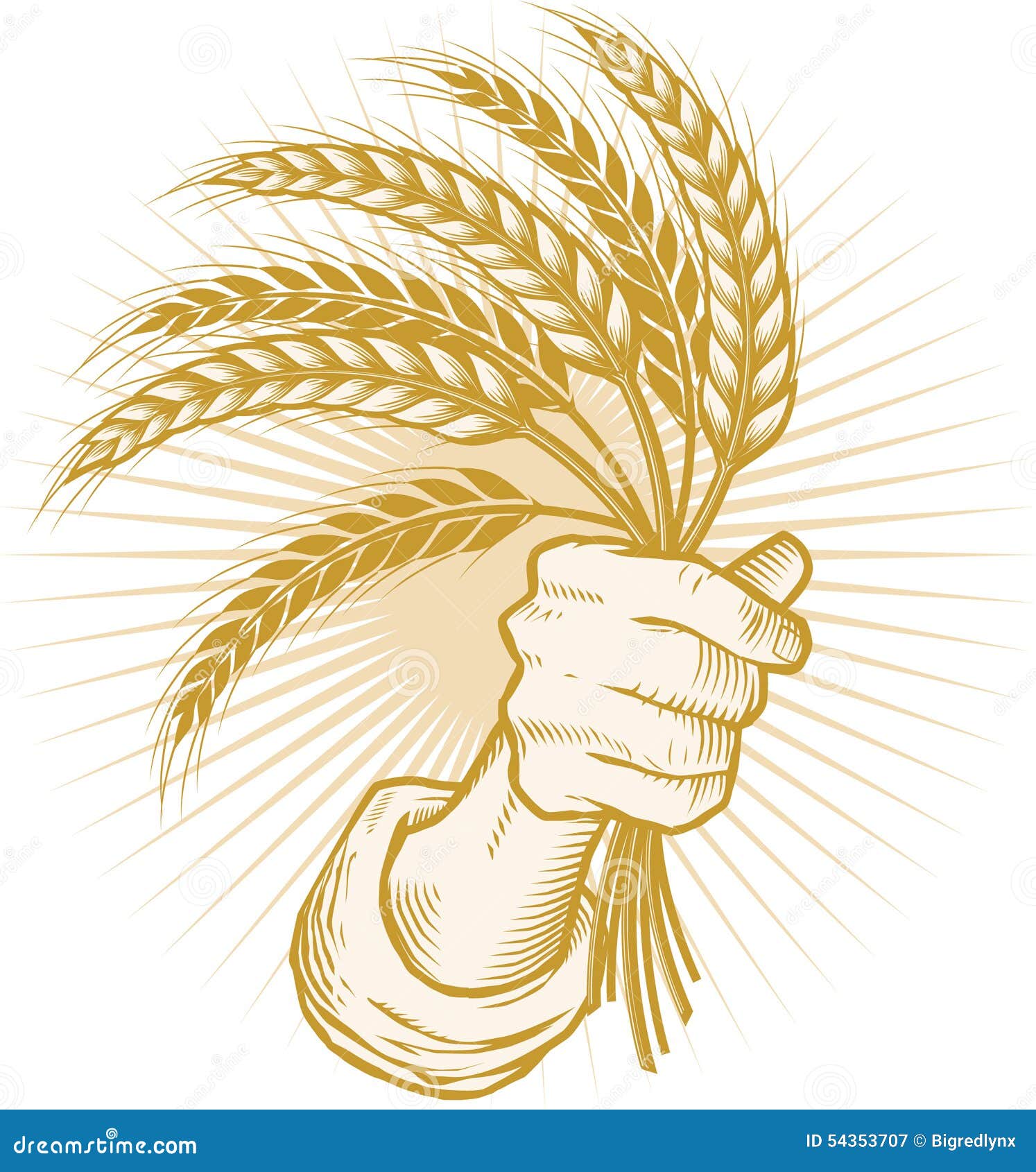 Handful of Wheat stock vector. Illustration of grip, bouquet - 54353707