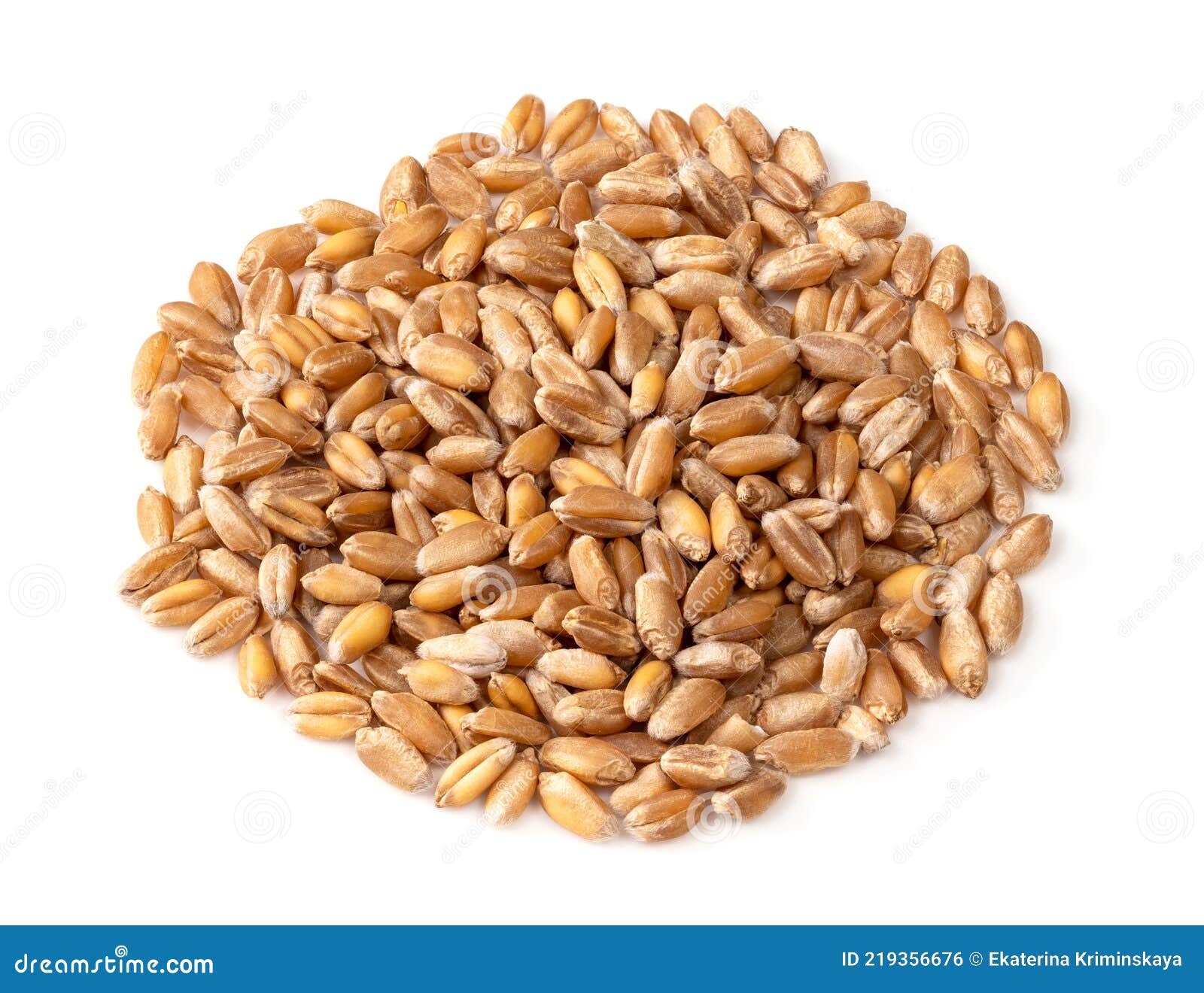 Handful of Wholegrain Wheat Grain Closeup on White Stock Photo - Image ...