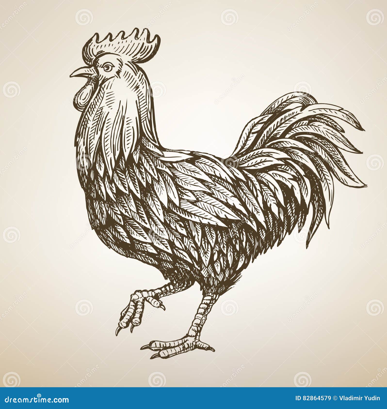 Handgemachter Zeichnung Hahn Vektor Abbildung - Illustration von ...