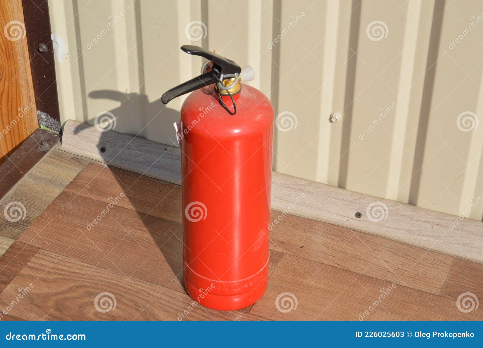 Handheld Fire Extinguisher To Protect Home and Interior from Fire Stock ...