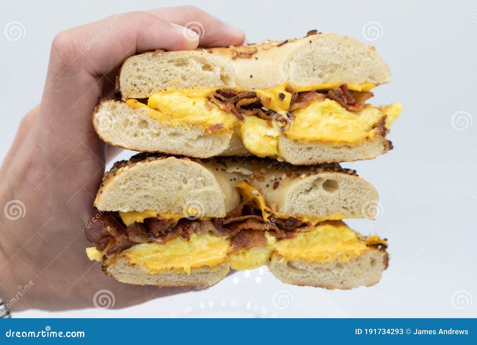 Hand Held Everything Bagel Cut in Half with Bacon Eggs and Cheese with ...