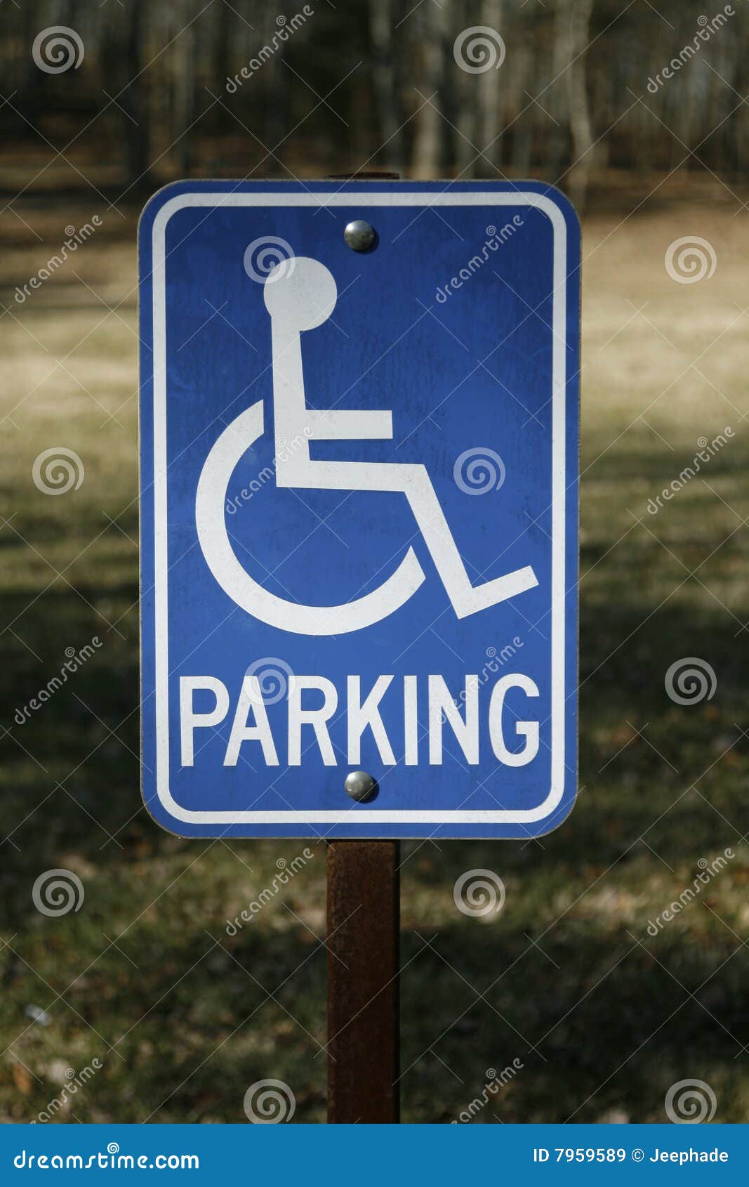 Handicap Sign Picture. Image: 7959589