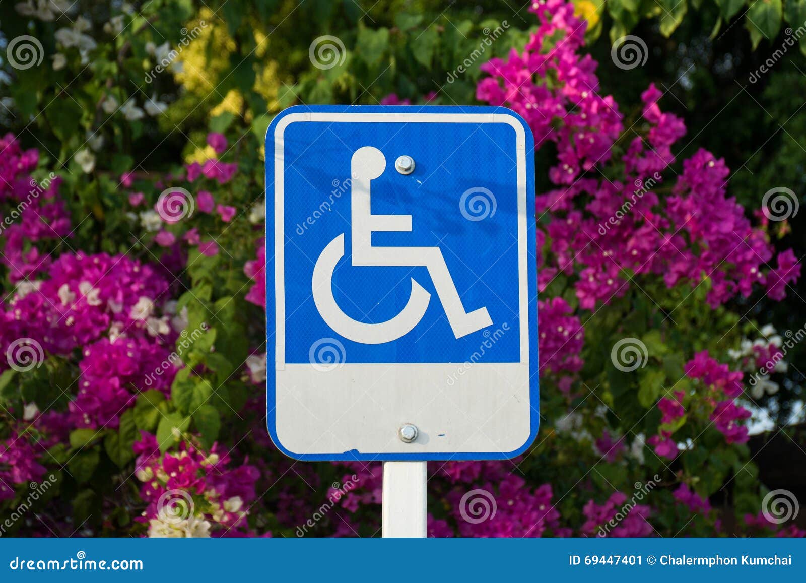 590 Priority Parking Photos - Free & Royalty-Free Stock Photos from ...