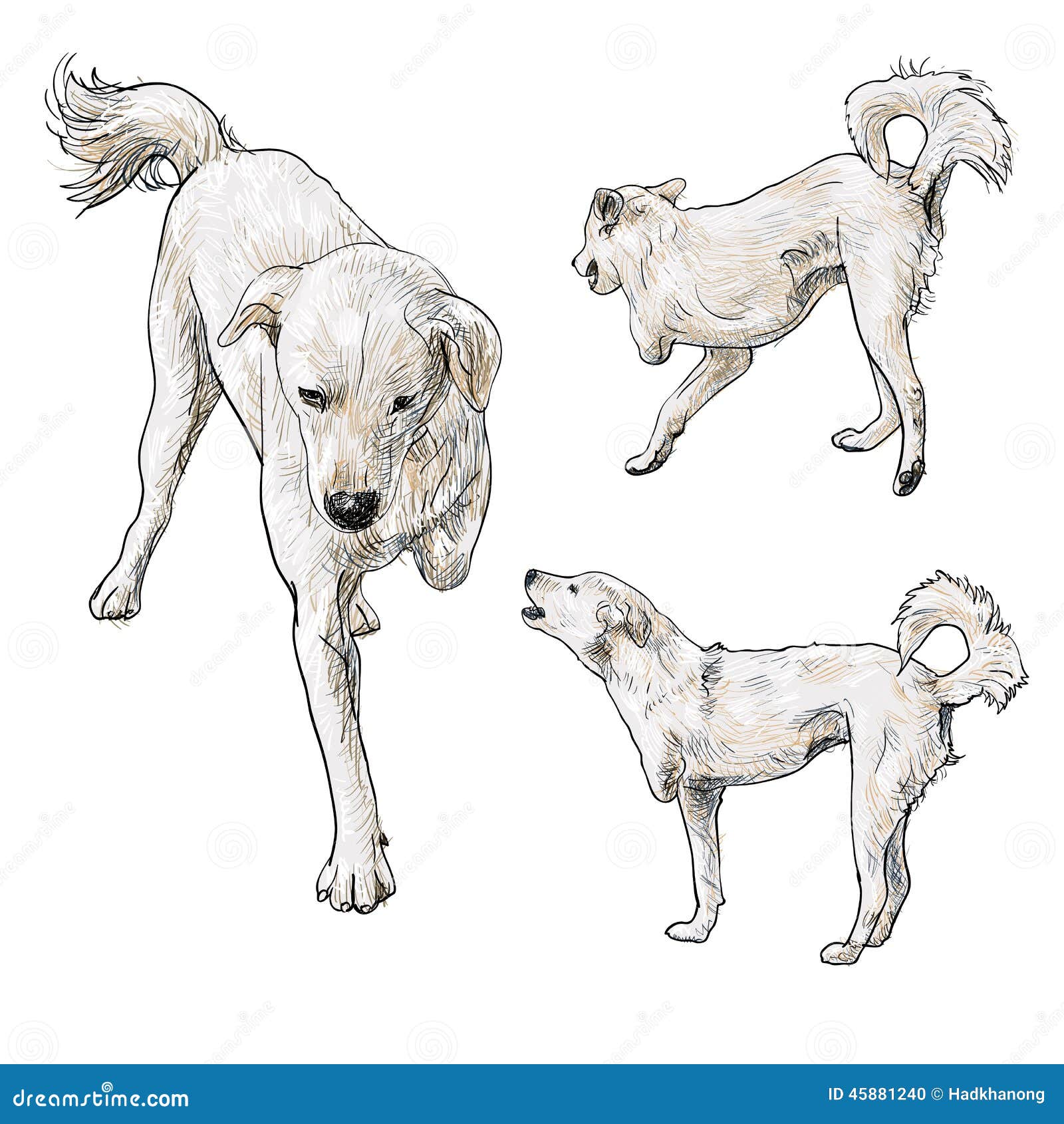 Dog With Missing Legs Flat Vector Illustration. Handicapped Puppy ...
