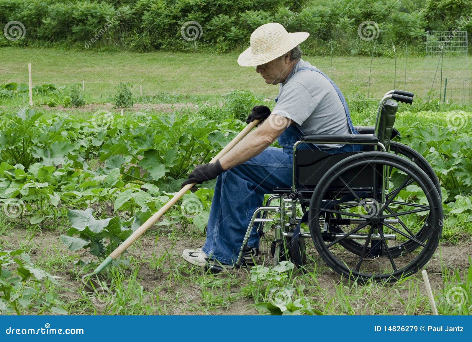 Handicapped Man in His Garden Stock Image - Image of work, handicap ...