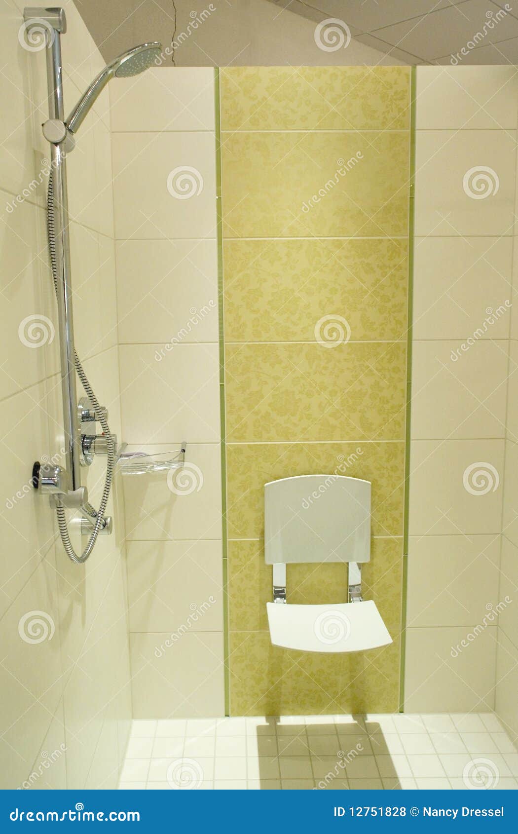 Handikapp badrum arkivfoto. Bild av garnering, hygien - 12751828