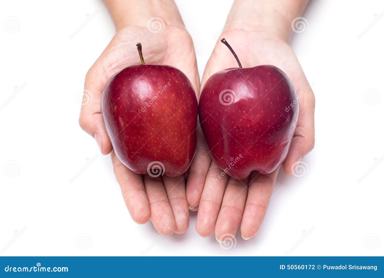 Handle Fresh Red Apples Isolated on a White Background. Stock Photo ...