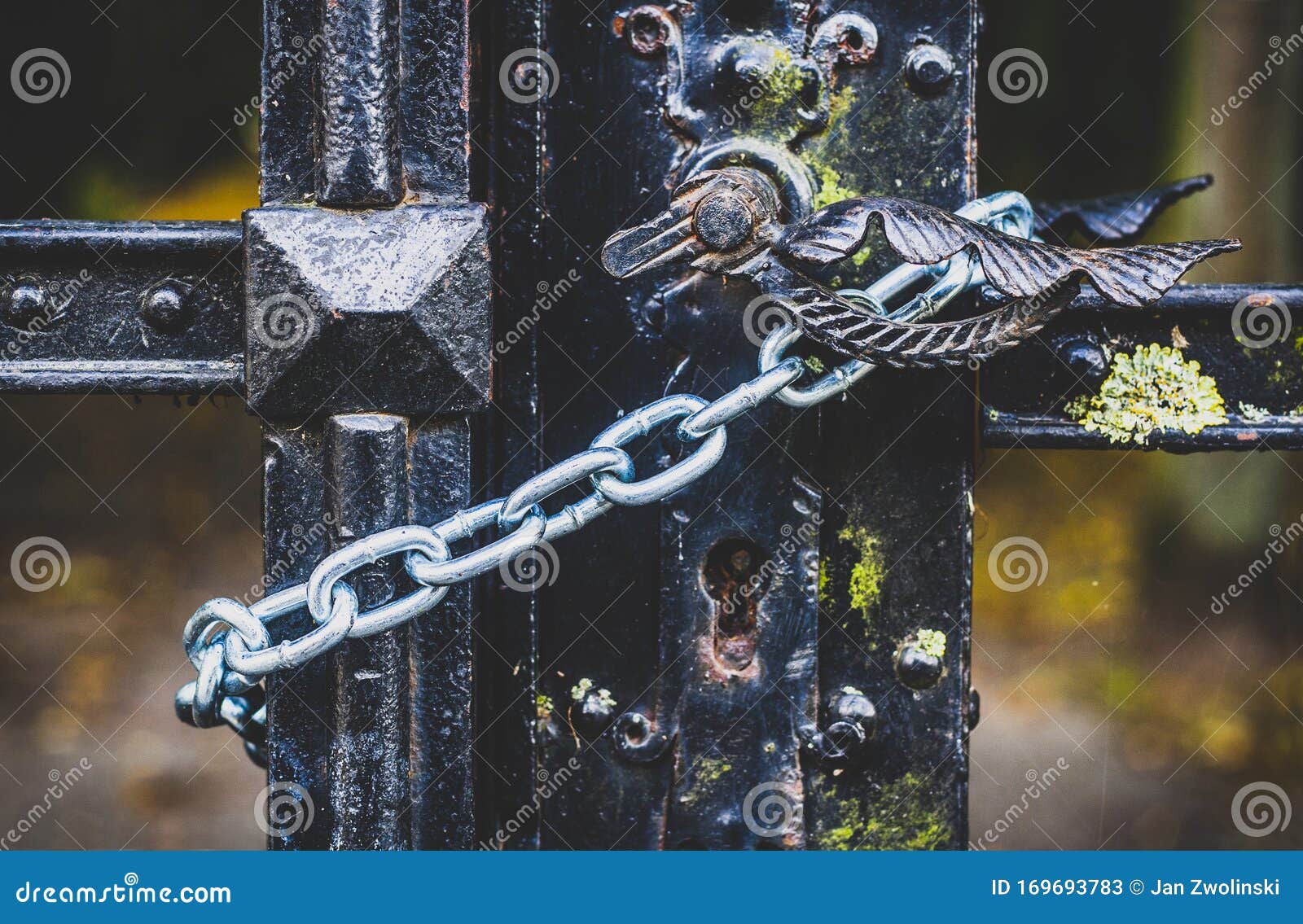 Old gate locked with chain stock image. Image of fence - 169693783