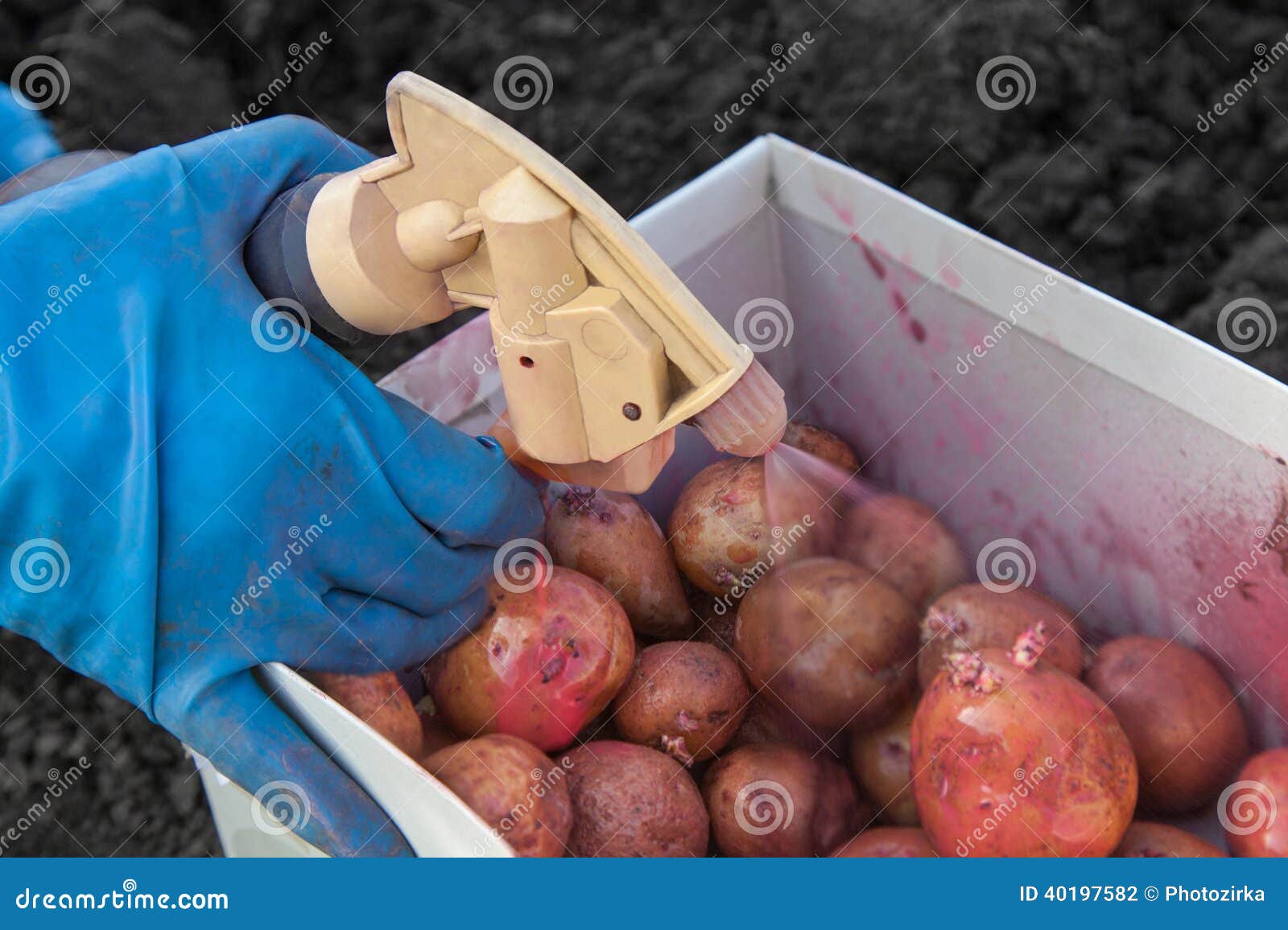 Handling Potato Insecticides Stock Photo - Image of device, landing ...