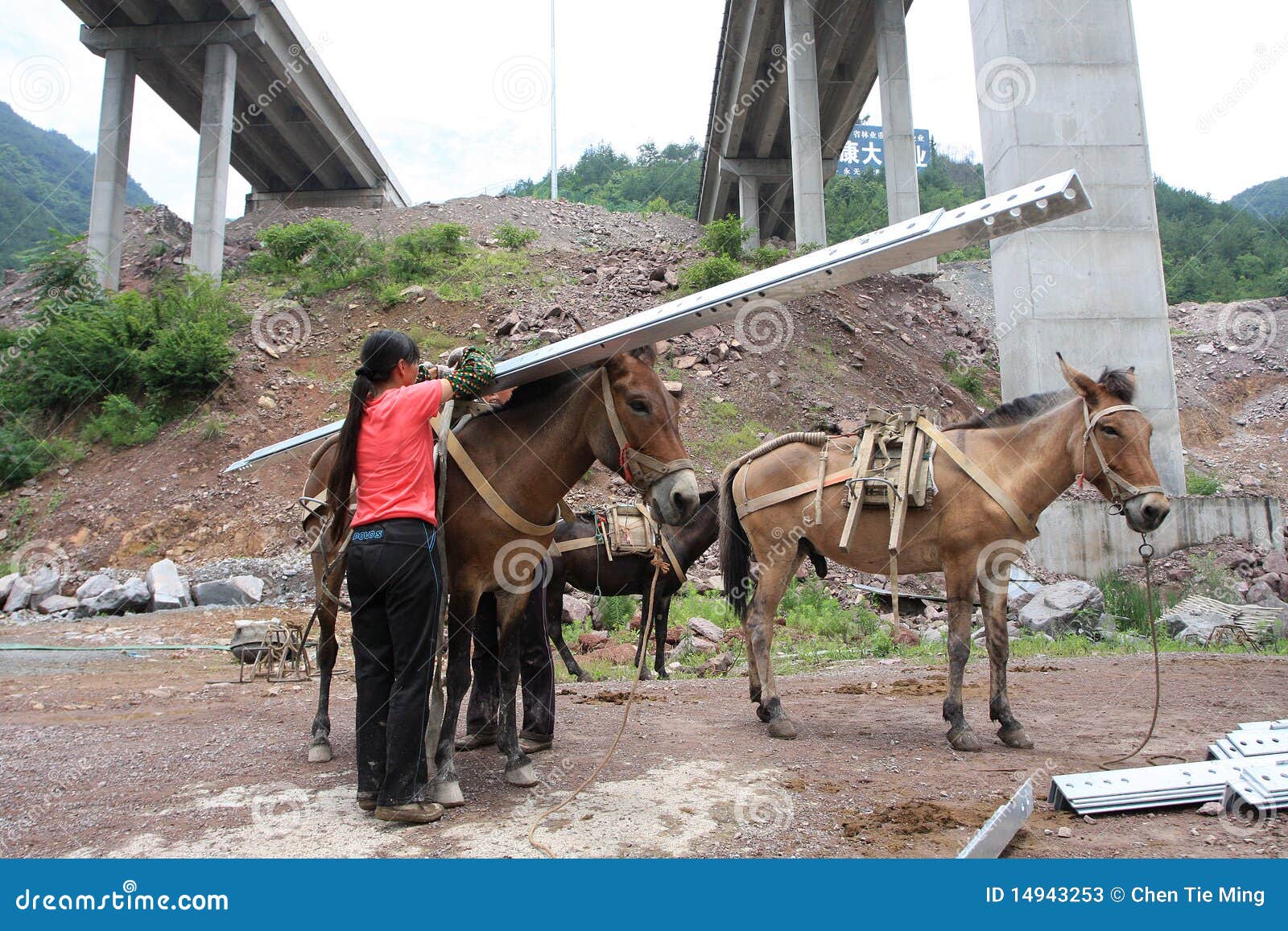 Handling steel editorial stock photo. Image of labor - 14943253