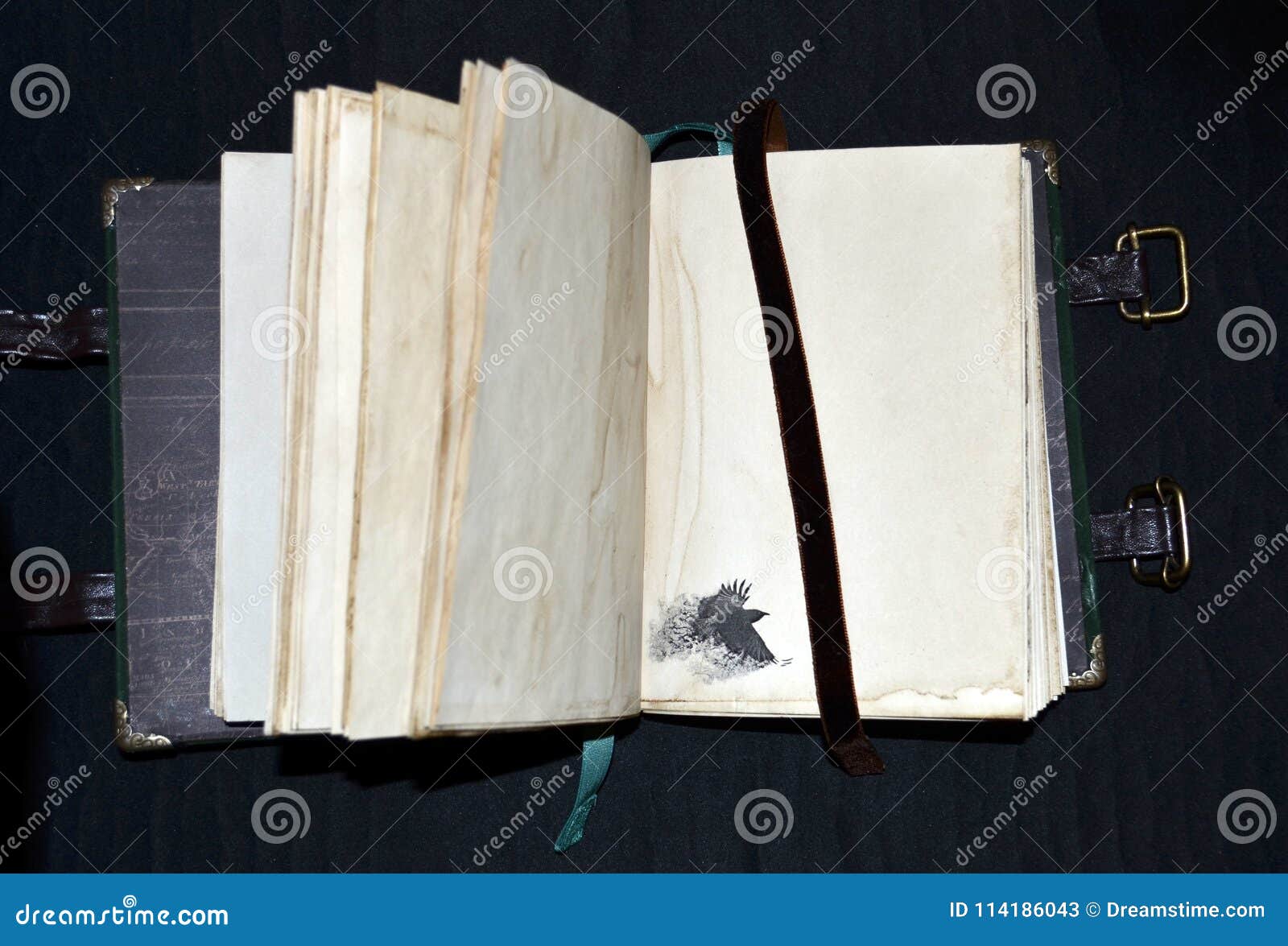 Handmade Ancient-looking Notebook with a Raven in a Lower Left Corner ...