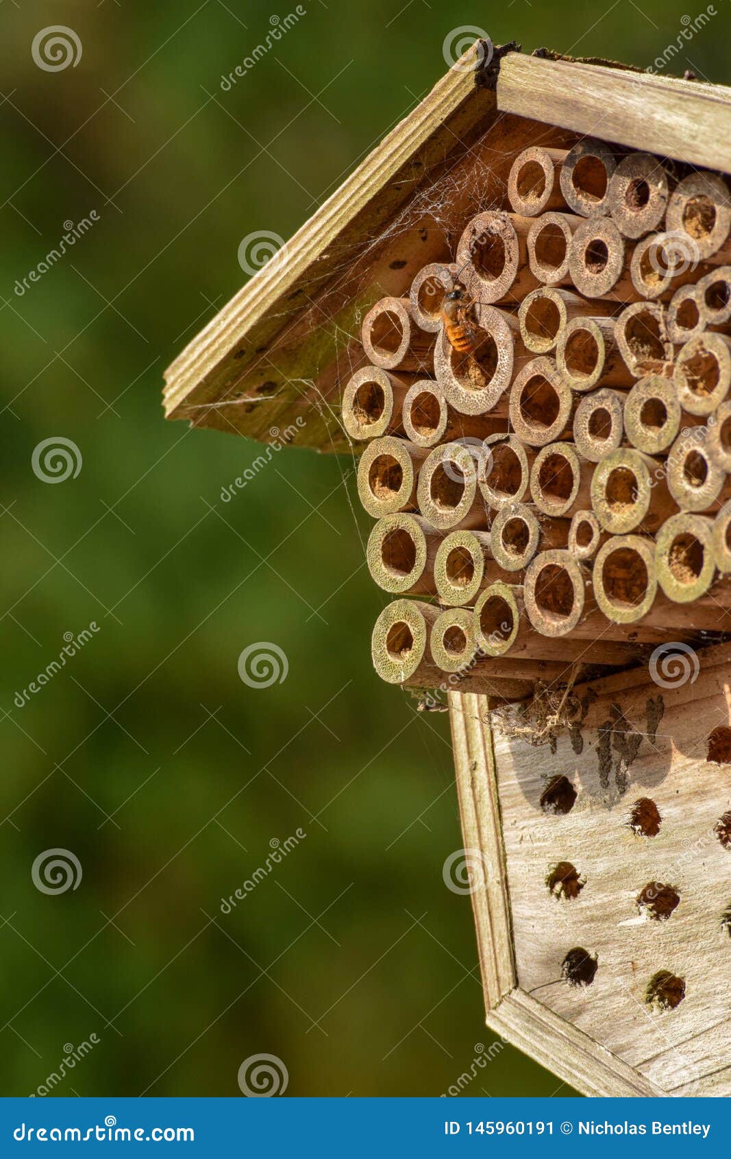 Handmade Bamboo Beehive with Stationary Bee Stock Image - Image of ...