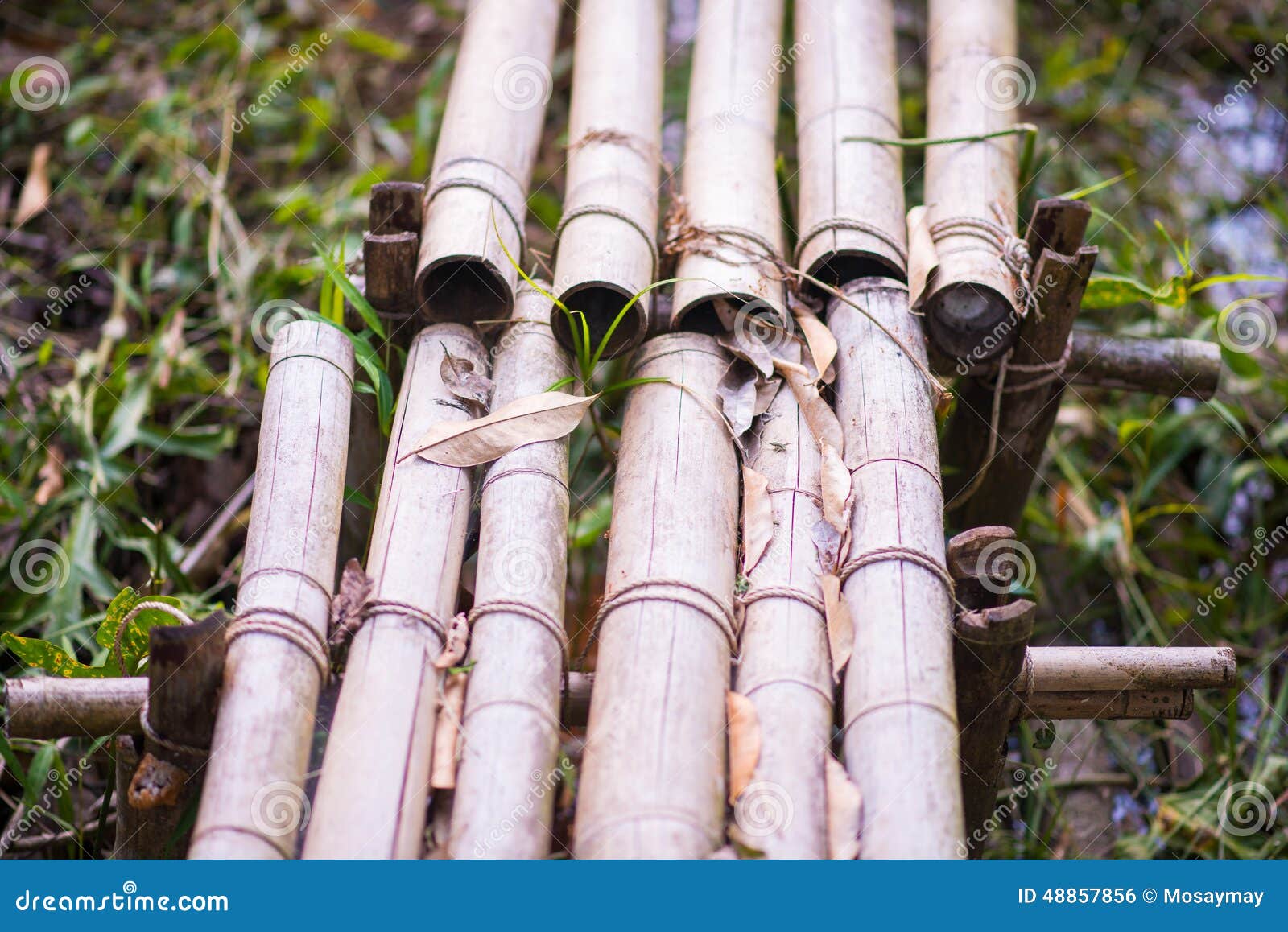 Handmade Bamboo Bridge in Garden Stock Photo - Image of bamboo, nature ...