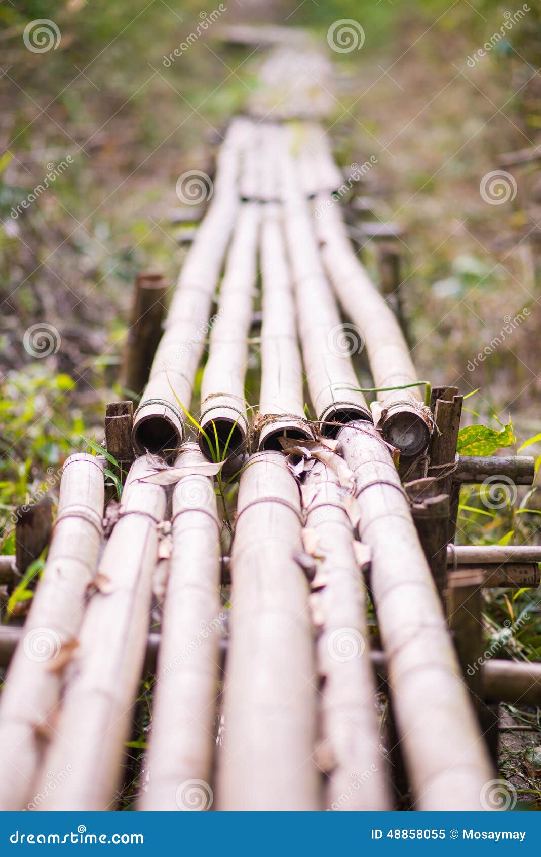 Handmade Bamboo Bridge in Garden Stock Image - Image of walk, outdoor ...