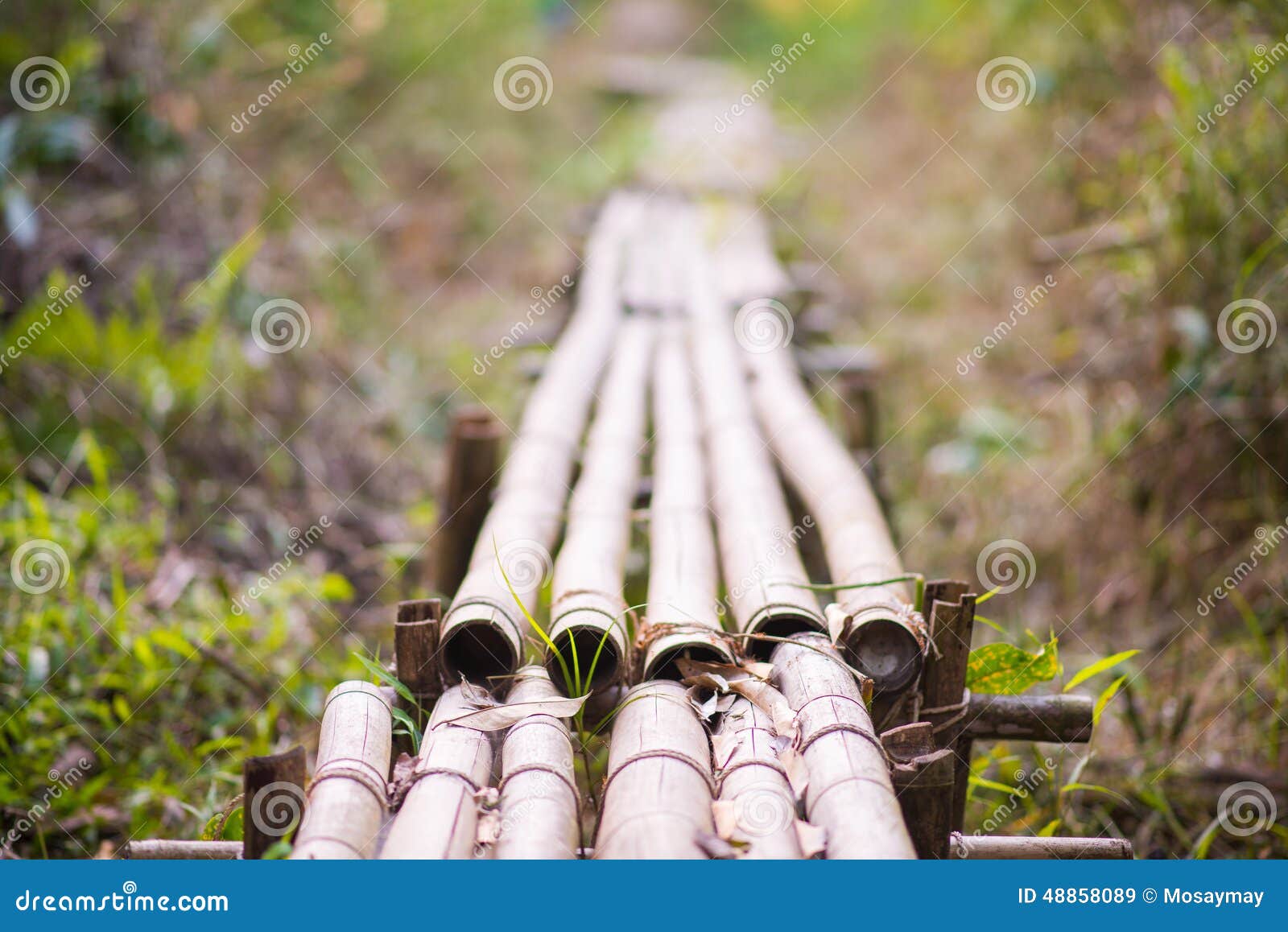 Handmade Bamboo Bridge in Garden Stock Image - Image of rough, nature ...