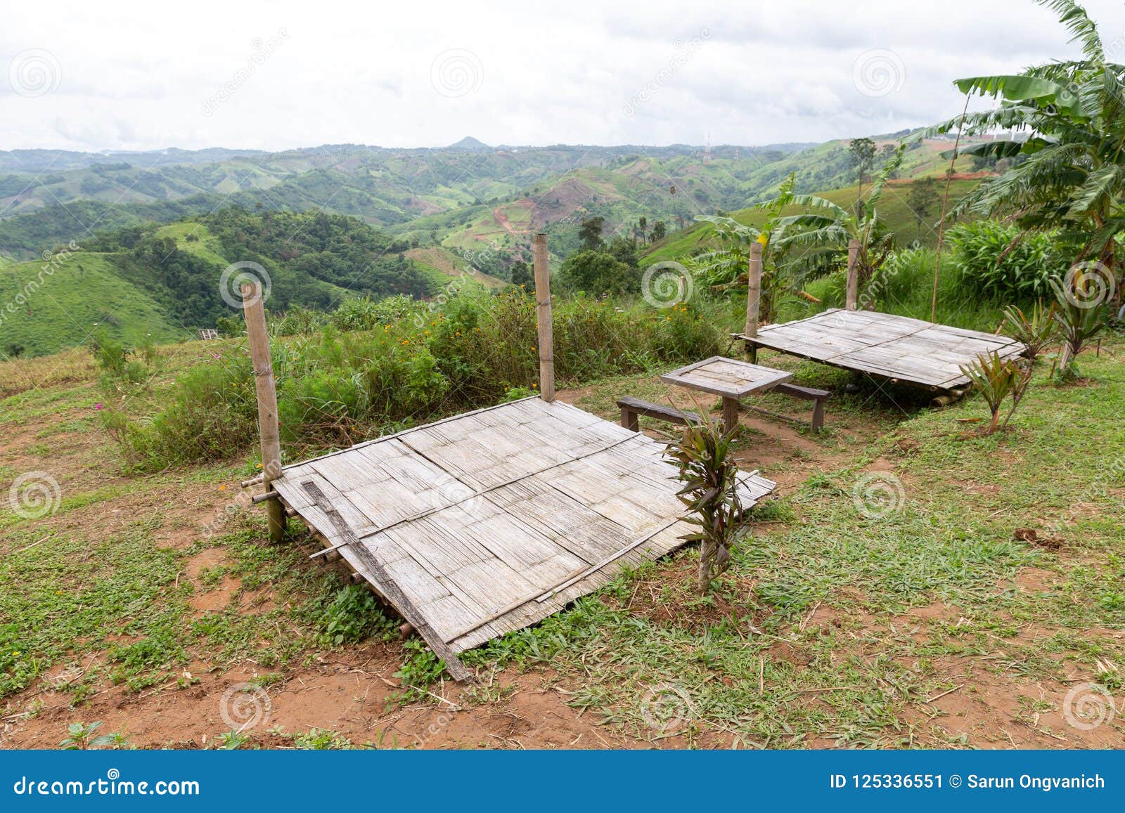 1,042 Bamboo Stage Photos - Free & Royalty-Free Stock Photos from ...