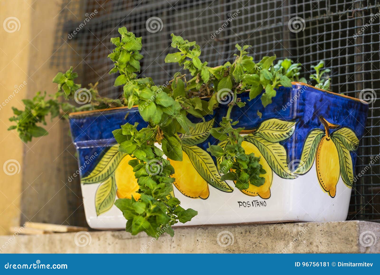 Handmade Beautiful Flower Pot with Green Flowers Placed Stock Image ...