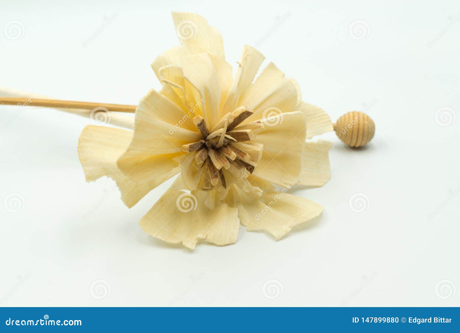 Handmade Beige Artificial Flower for Event Stock Photo - Image of ...