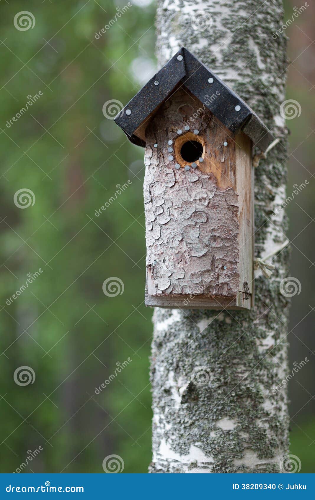 Handmade birdhouse on tree stock photo. Image of snug - 38209340